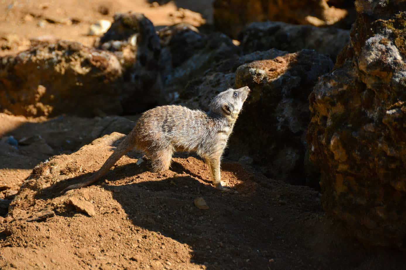 Reading, la ciudad milenaria en el Támesis - Copywrite Colombia ...