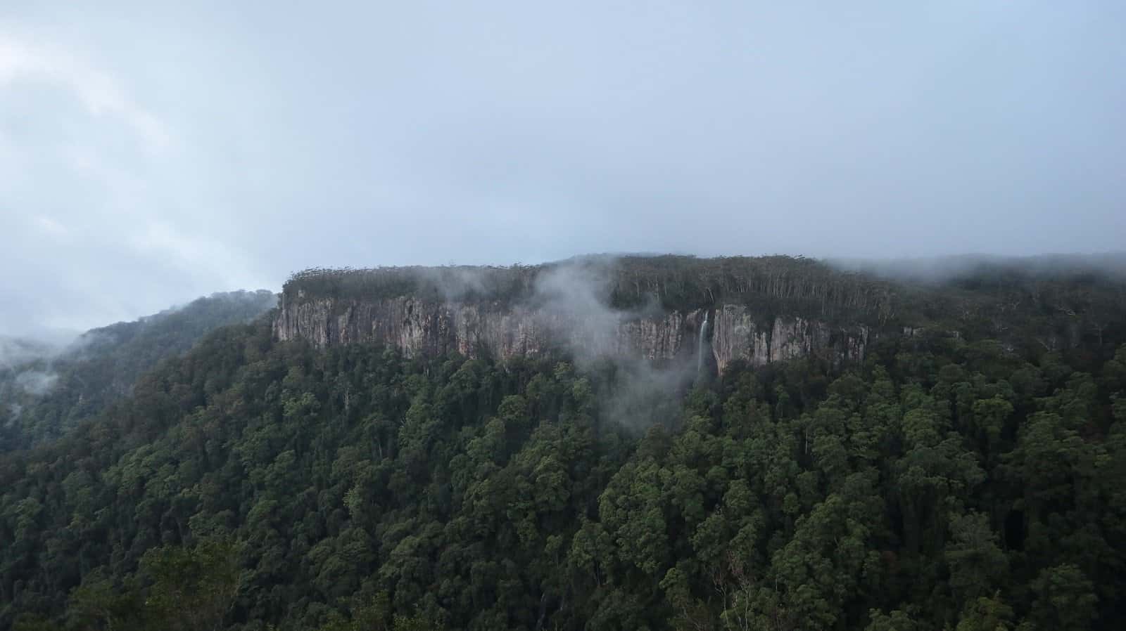 Springbrook: maravilla natural de Australia
