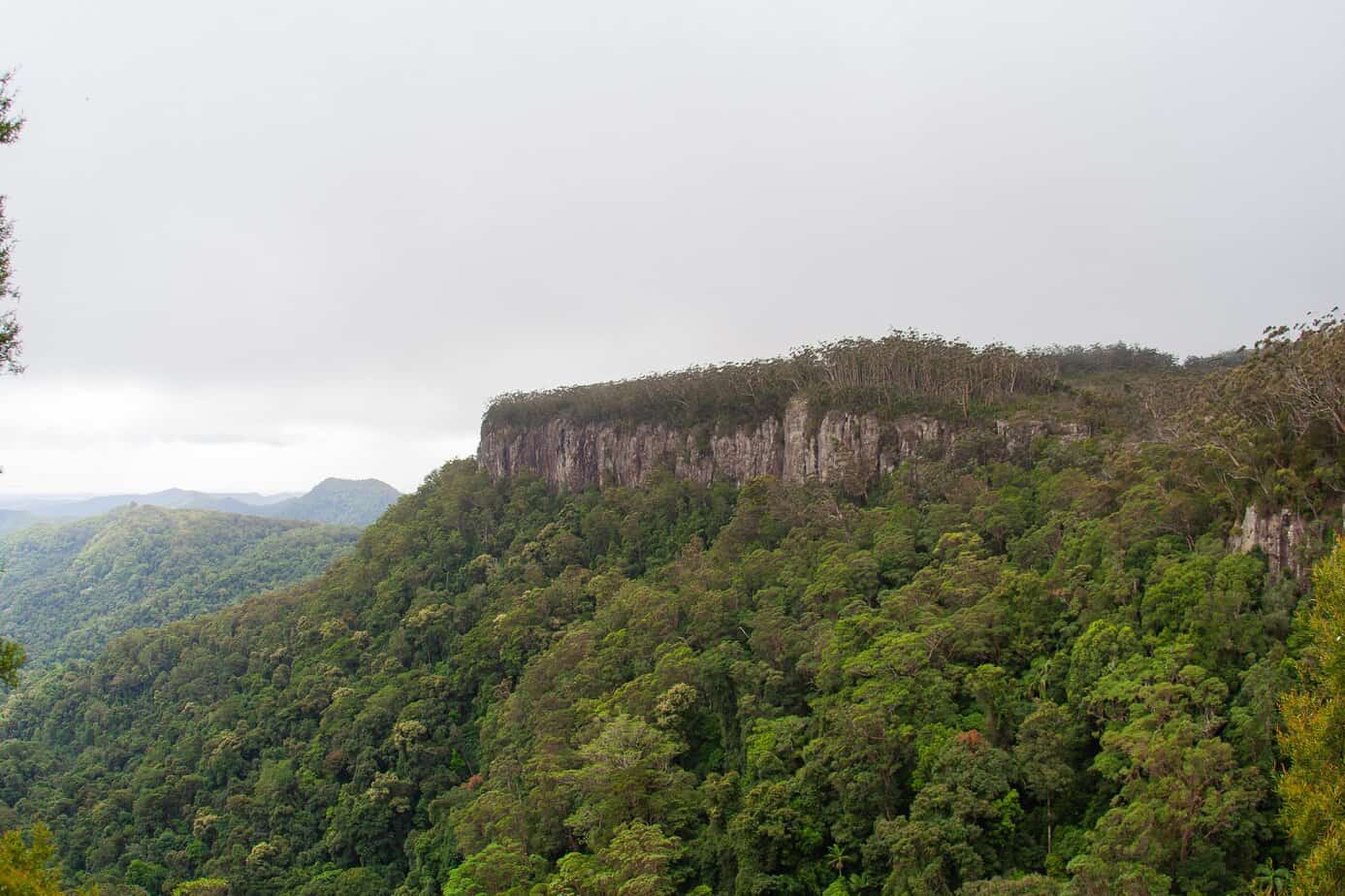 Springbrook: maravilla natural de Australia