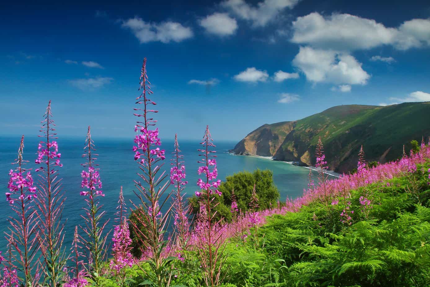 Exmoor, el parque natural de Inglaterra