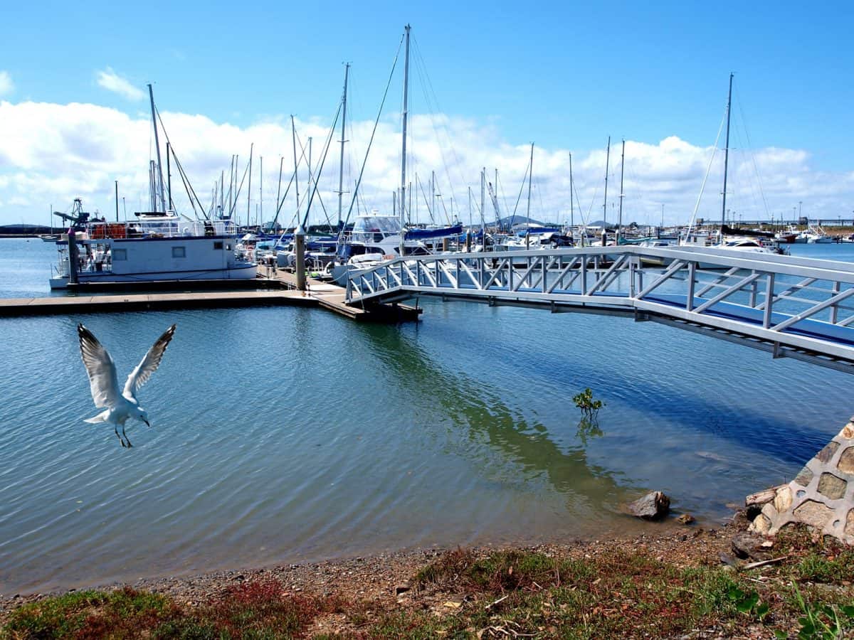 Gladstone, la Gran Barrera de Coral - Copywrite Colombia