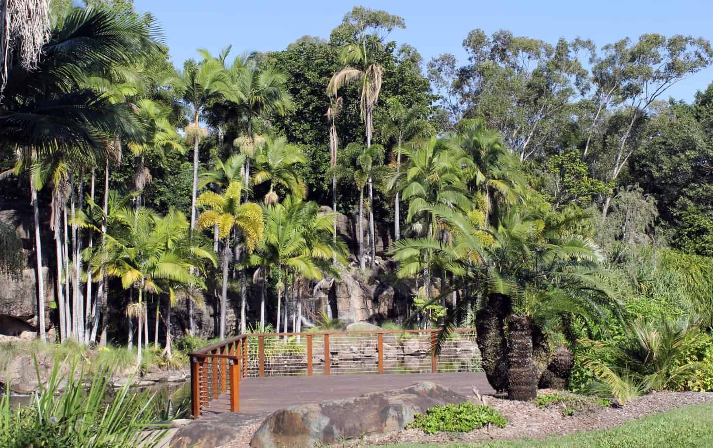 Rockhampton: tesoro natural y cultural de Australia - Copywrite Colombia