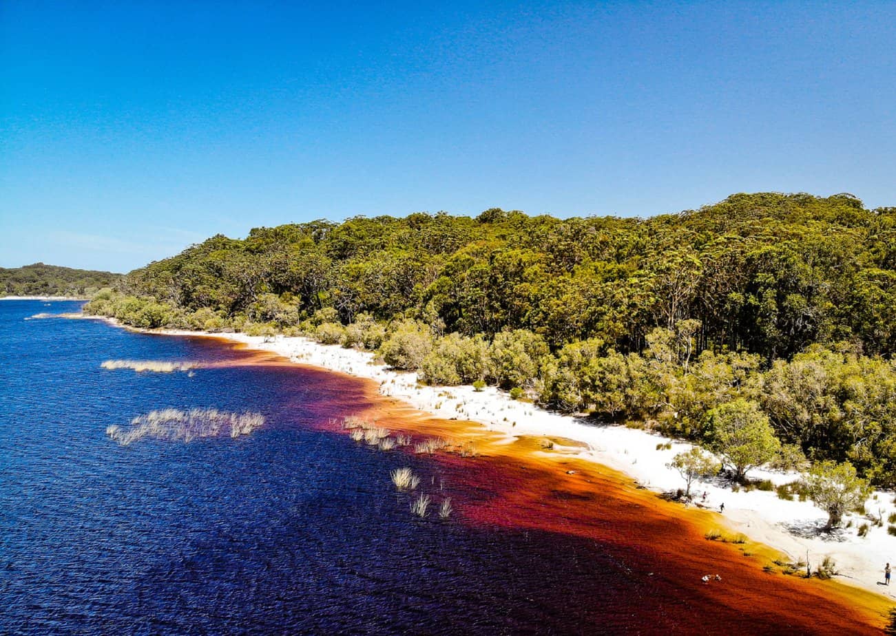 Fraser Island: la isla paradisiaca en Australia
