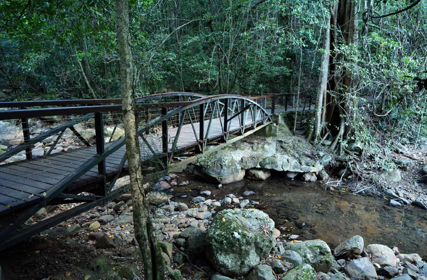Springbrook: maravilla natural de Australia - Copywrite Colombia ...