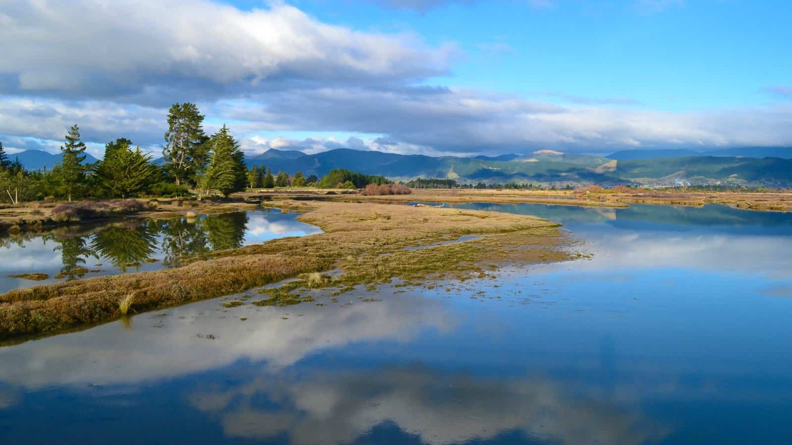 Nelson, el Corazón Brillante de la Isla Sur Neozelandesa - Copywrite ...