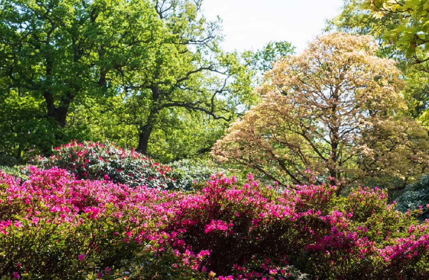 Slough: una ciudad de historia y diversidad - Copywrite Colombia ...