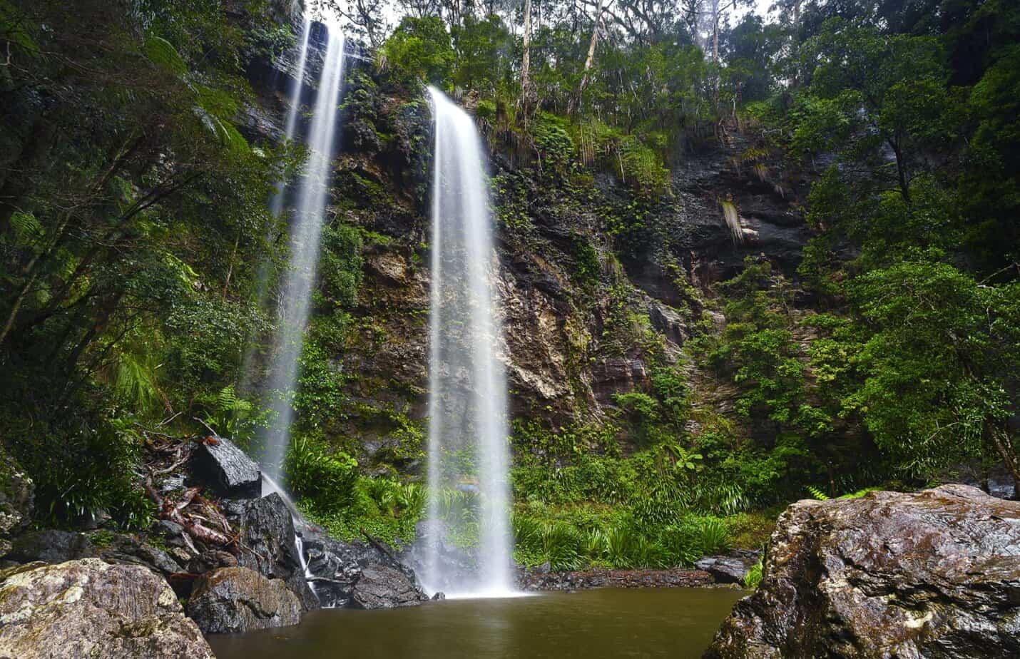 Springbrook: maravilla natural de Australia - Copywrite Colombia ...