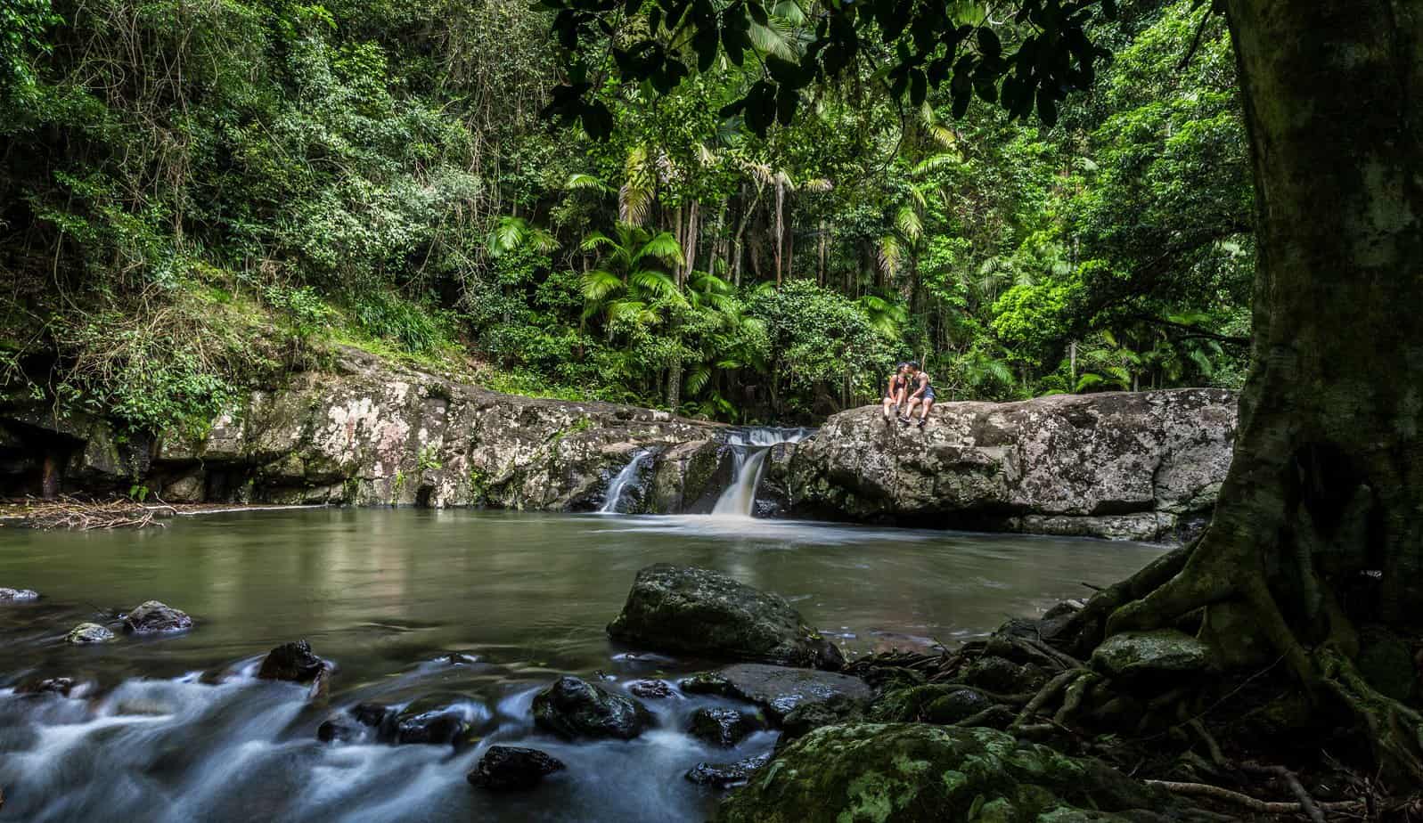 Springbrook: maravilla natural de Australia - Copywrite Colombia ...