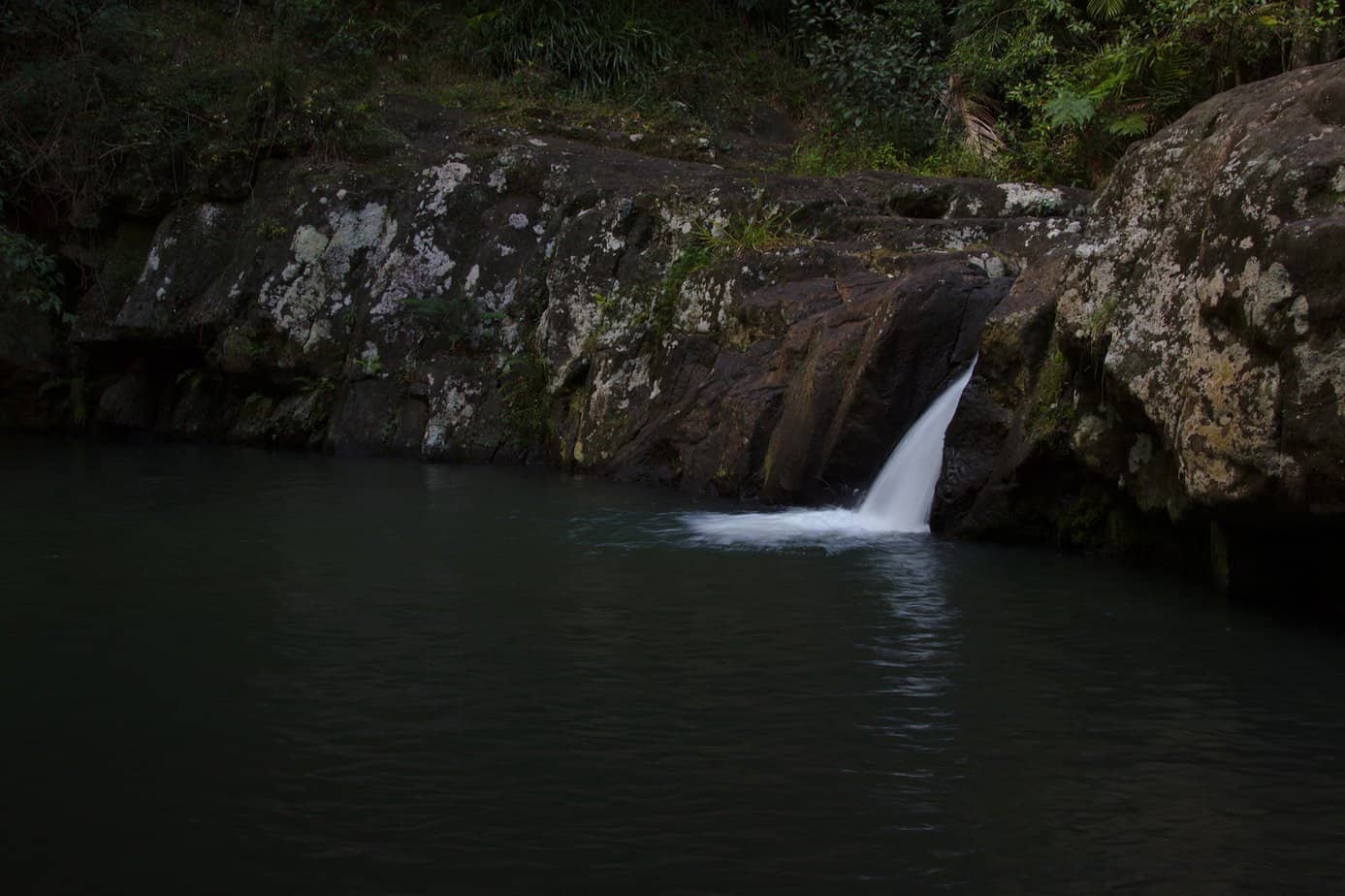 Springbrook: maravilla natural de Australia - Copywrite Colombia ...