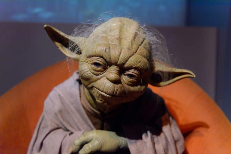 ¡Ya sabemos de dónde viene la lengua que habla Yoda de Star Wars!